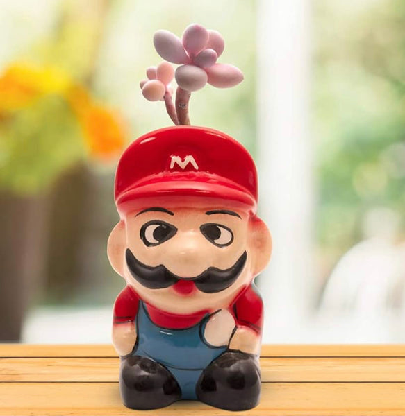 Super Mario Ceramic Pot – Gardengram