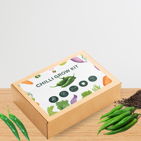 Buy Seeds Online: Chilli Seeds Kit For Home Gardening | Gardengram